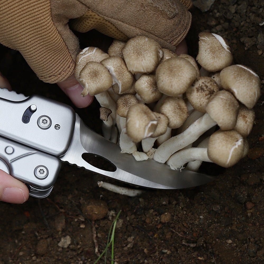 Talon Blade | Roxon Multi Tools Attachment – ROXON